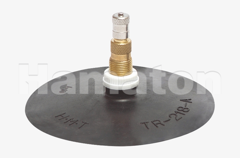 Tr218a Brass Valve For Inner Tube - Brass - 800x800 PNG Download - PNGkit