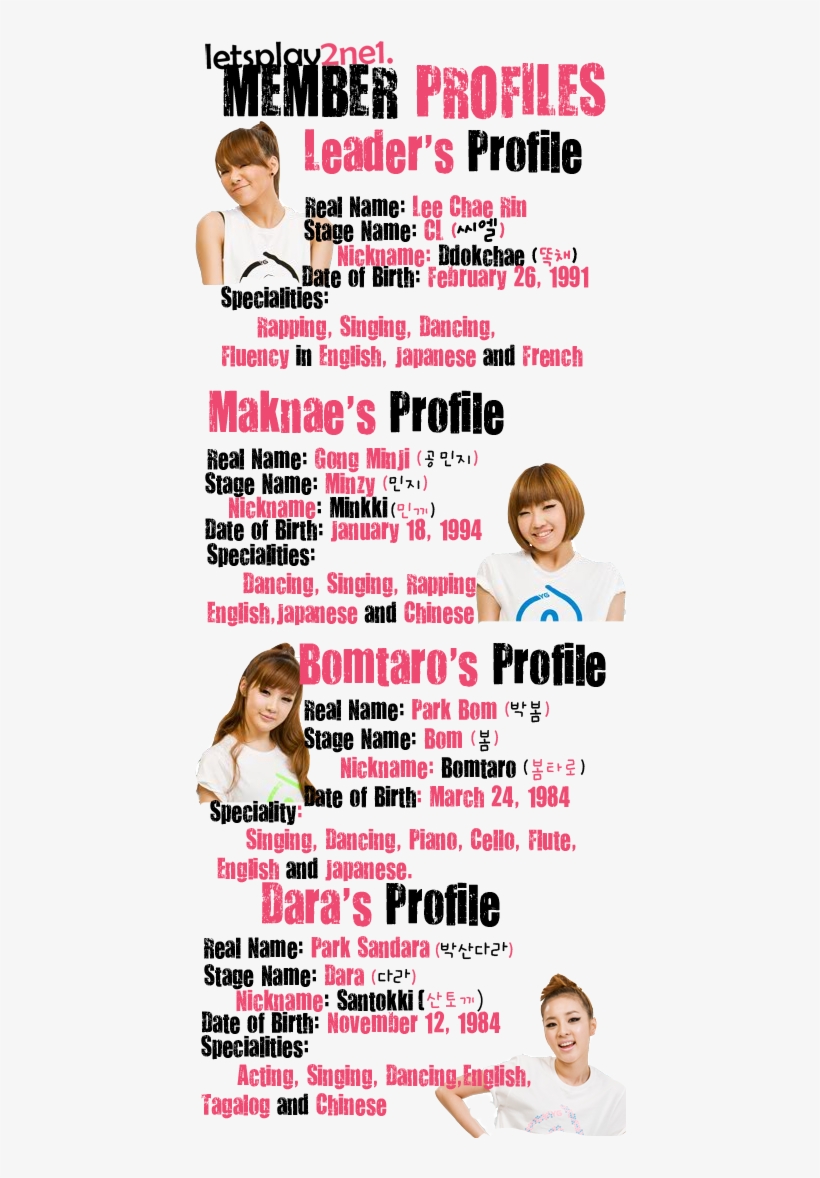 2ne1 First Full Album To Anyone - Puerto Rico - 431x1115 PNG Download ...