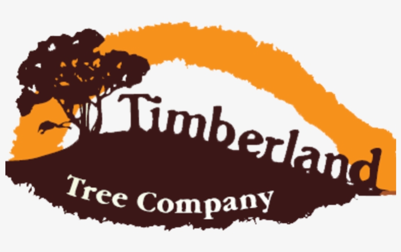 Timberland Tree Company - 800x450 PNG Download - PNGkit