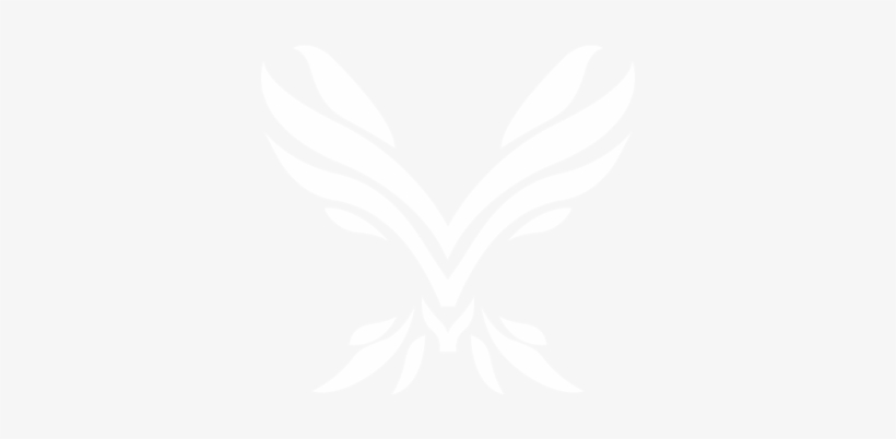 Conclave - Twitter Bird White Transparent - 350x350 PNG Download - PNGkit