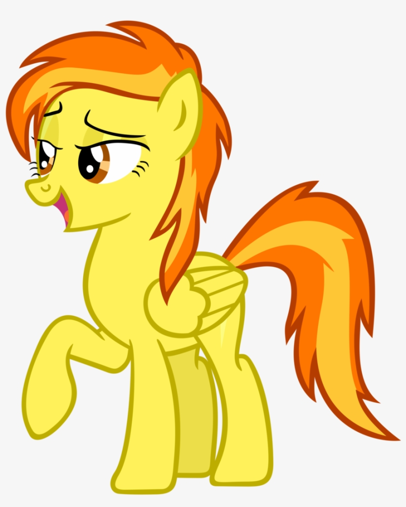 Spitfire Images Young Spitfire Hd Wallpaper And Background - My Little ...