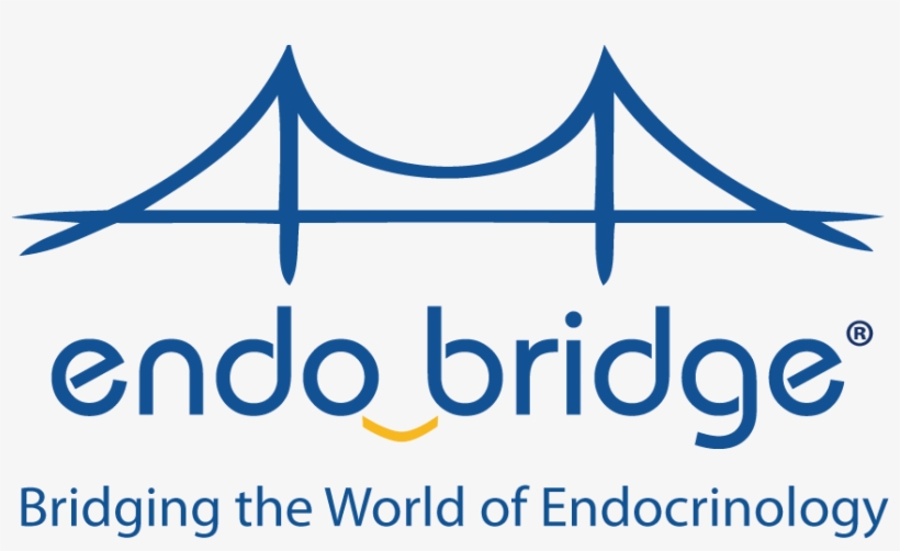 25-28 October - Asce Steel Bridge Logo - 940x483 PNG Download - PNGkit