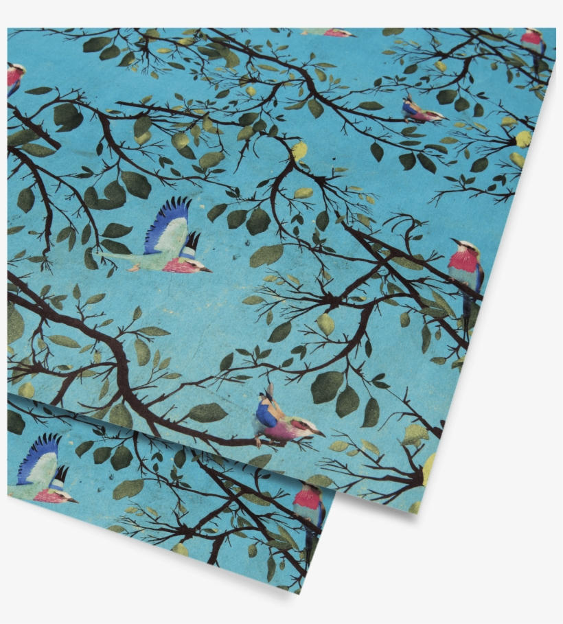 Turquoise Holler Bird Gift Wrap - 1400x1500 PNG Download - PNGkit