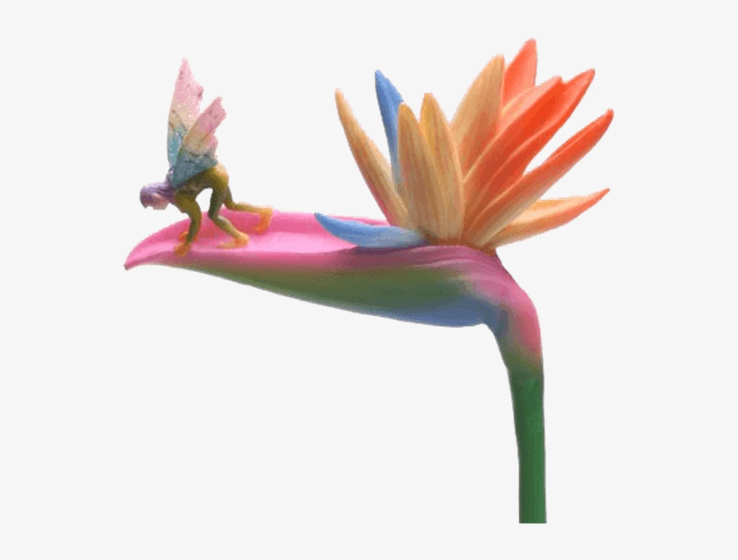 Bird Of Paradise Stem Flitty Fairy Flower - Stem Flitty - Bird Of ...