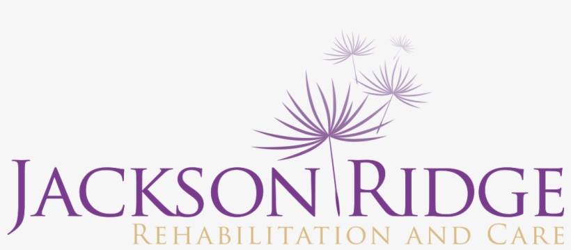 A Caring Retirement Center - Park Point Residences Logo - 1100x439 PNG ...