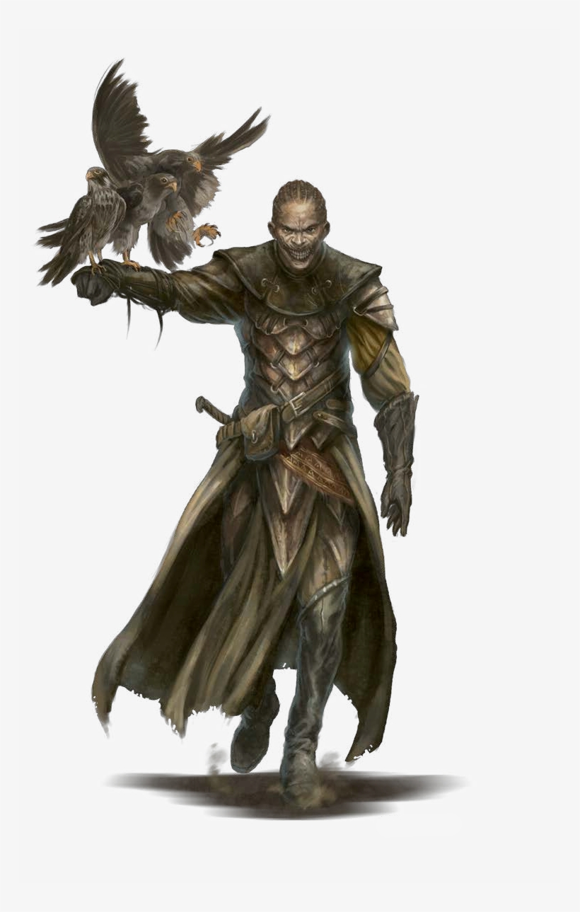 Wizard Necromancer Magicien Nécromancien - Necromancer Rpg - 767x1209 ...