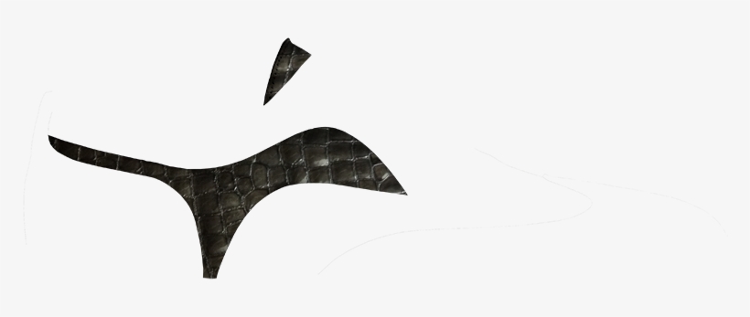 Charol-cocodrilo Gris - Eagleray - 860x400 PNG Download - PNGkit