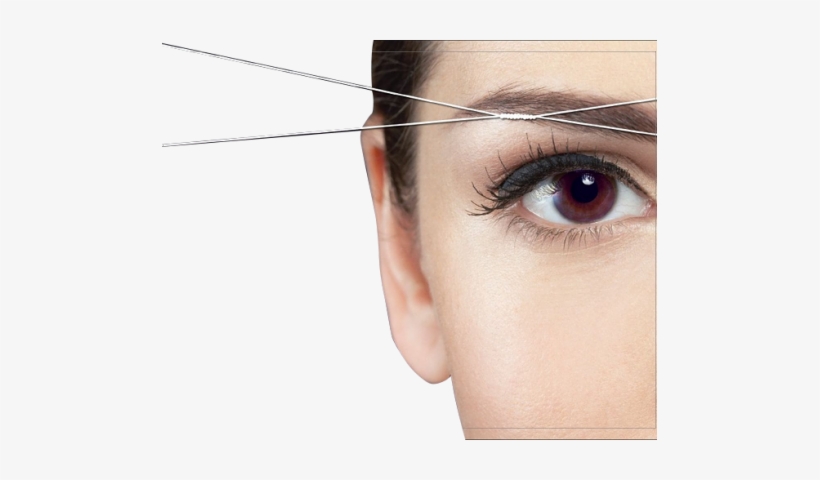 Diseño De Cejas - Eyebrow Threading - 495x400 PNG Download - PNGkit
