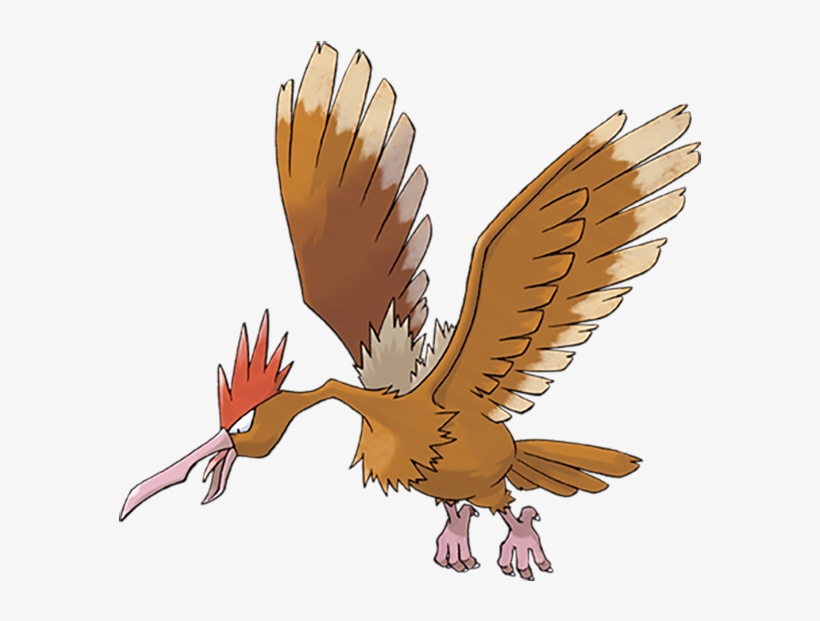 Fearow - Pokemon Fearow - 640x640 PNG Download - PNGkit