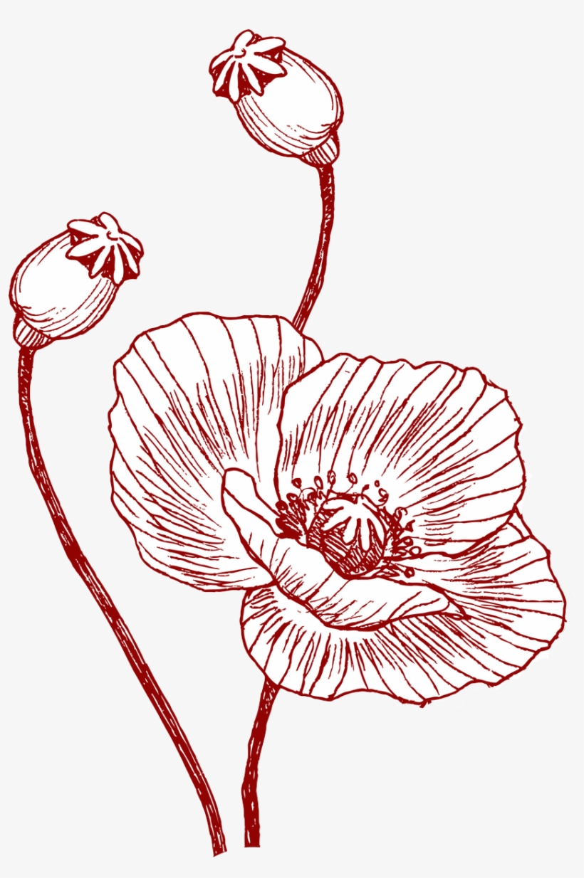 Poppy Banner Single - Poppy - 960x1367 PNG Download - PNGkit