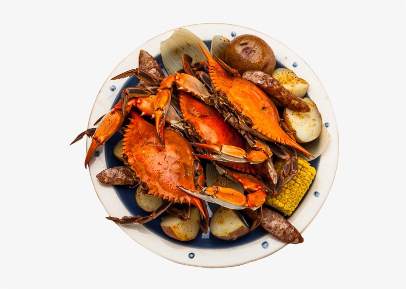 Plate Of Crab - Crabs On Plate Png - 555x504 PNG Download - PNGkit