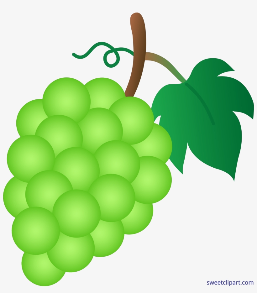 Grape Clipart