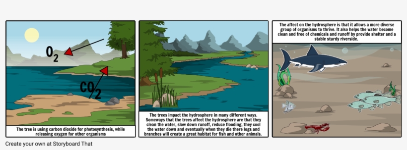 Tree Roots By The Water > Hydrosphere - Water - 1164x385 PNG Download ...