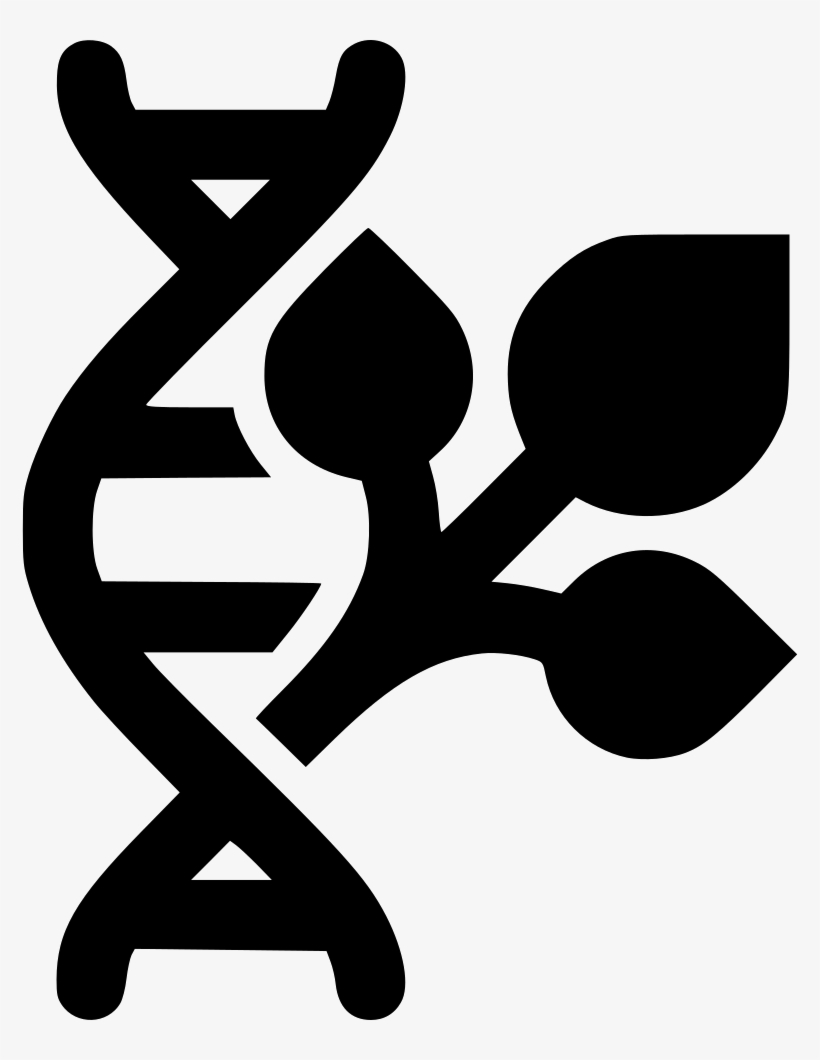 Plant Dna Gmo Comments - Gmo Icon Png - 776x980 PNG Download - PNGkit