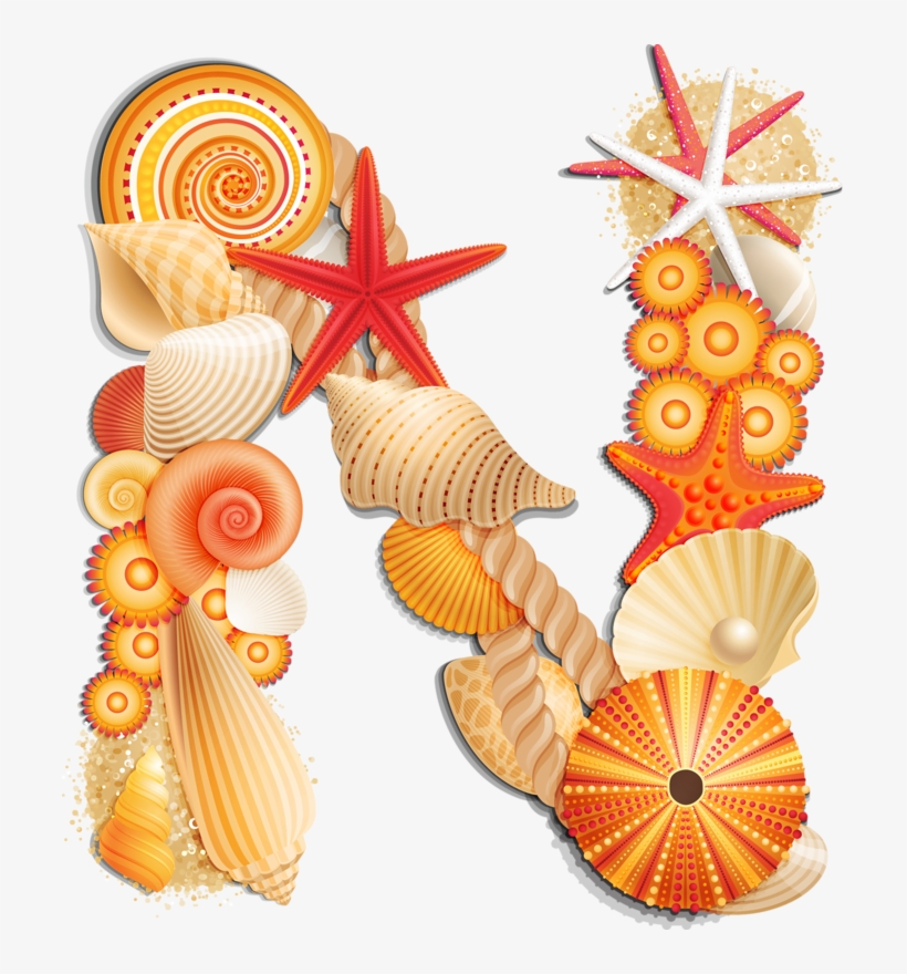 Alpha Orange Png Album - Alphabet Seashells Png - 708x800 PNG Download ...