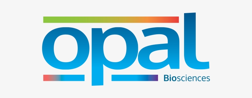 Opal Logo - 577x268 PNG Download - PNGkit