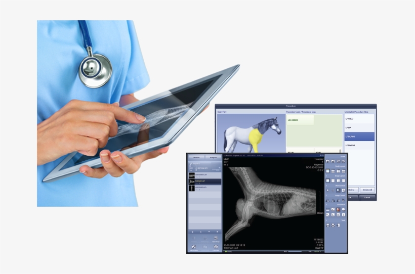 Healthcare And Technology Today: A Guide For Providers - 673x462 PNG ...