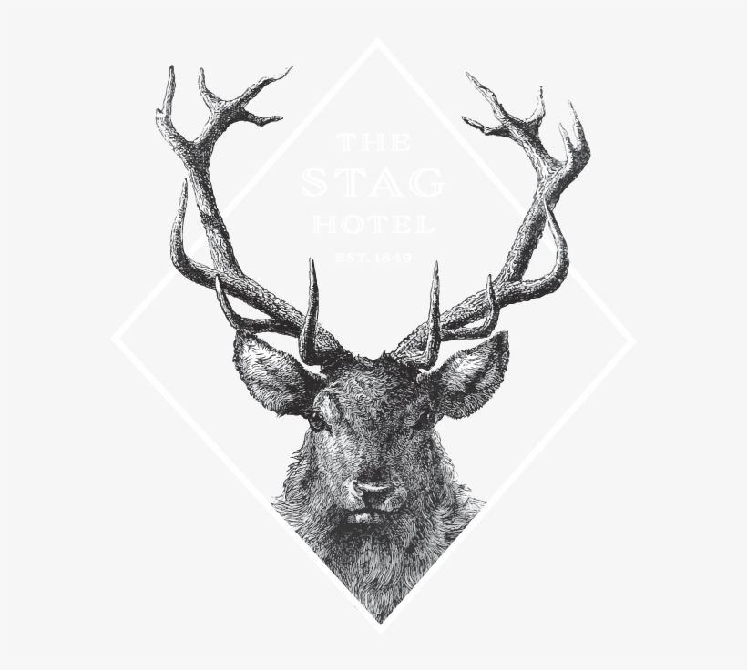 Stag Logo Full White - 577x656 PNG Download - PNGkit