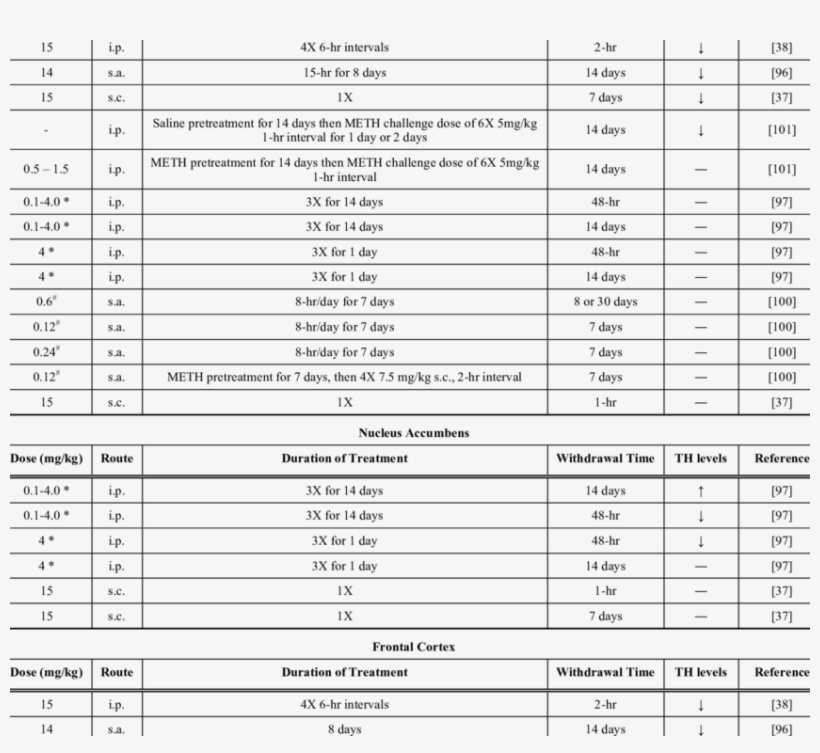 Summary Of How Different Meth Doses, Route Of Administration, - Example ...