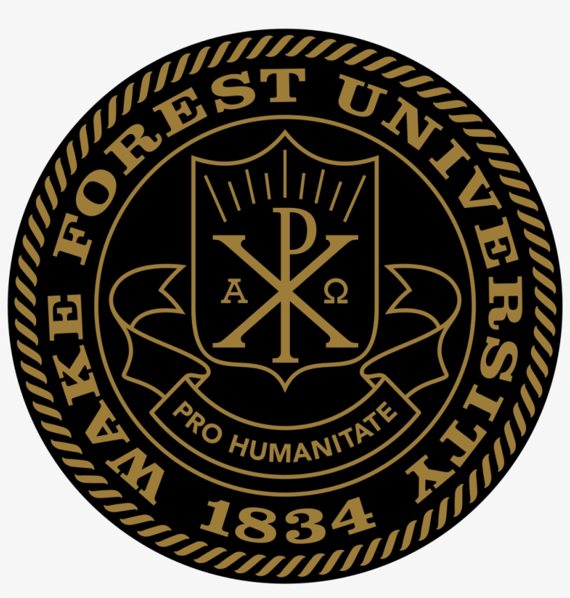 Acai Powder - Açaí Palm - 700x700 PNG Download - PNGkit