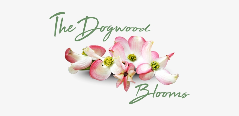 The Dogwood Blooms - Pink Dogwood Flower Png - 494x343 PNG Download ...