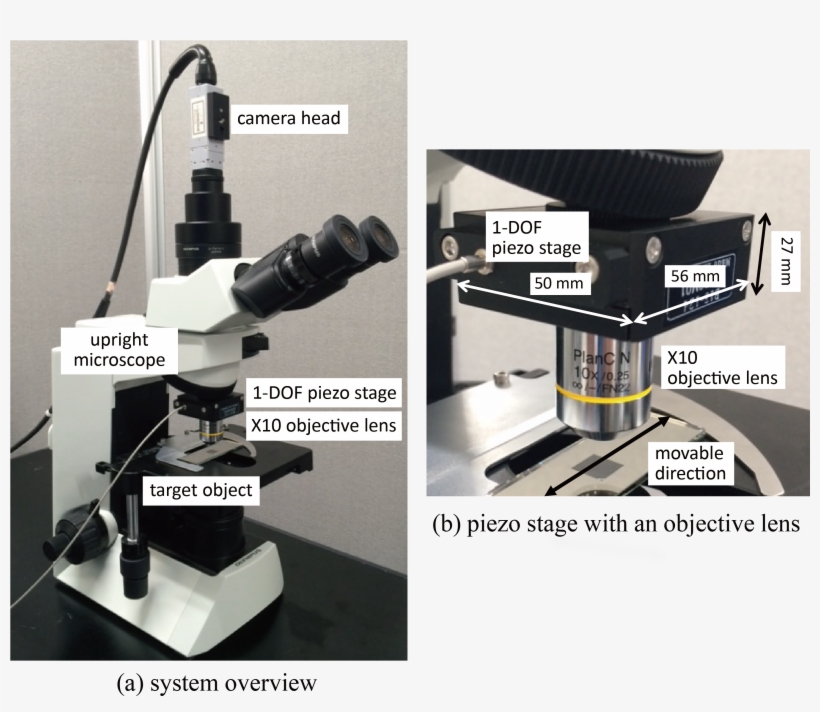 Motion Blur Free Microscope - Microscope - 2690x2213 PNG Download - PNGkit