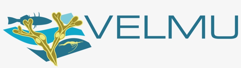Resources/images/velmu Logo - 2874x670 PNG Download - PNGkit
