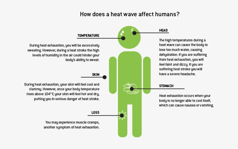 How A Heat Wave Affects Humans - Heat Affects The Body - 680x478 PNG ...