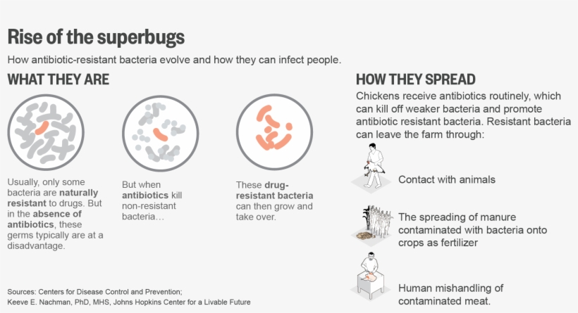 Sr Antibiotics - Rise Of Superbugs - 1706x850 PNG Download - PNGkit