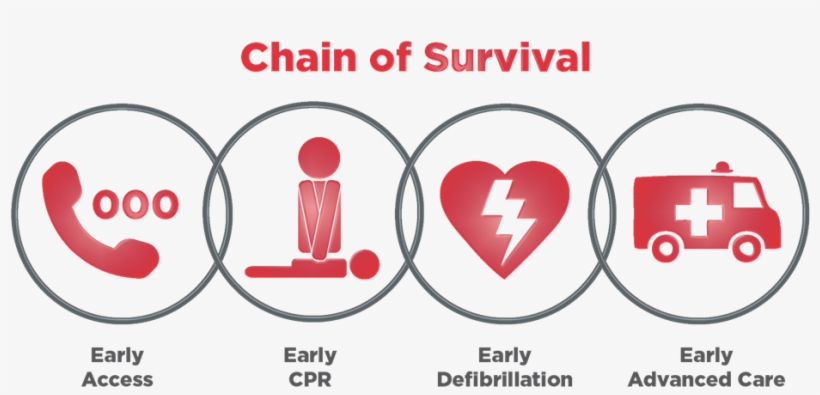 Chain Of Survival 2017 - 1024x462 PNG Download - PNGkit