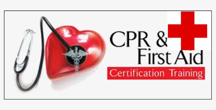First Aid Cpr - Cpr & First Aid - 789x339 PNG Download - PNGkit