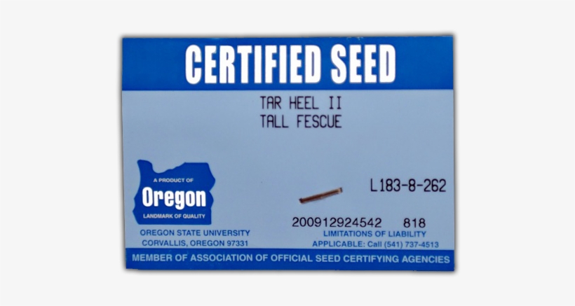 Seed Classes And Their Tags - 506x365 PNG Download - PNGkit