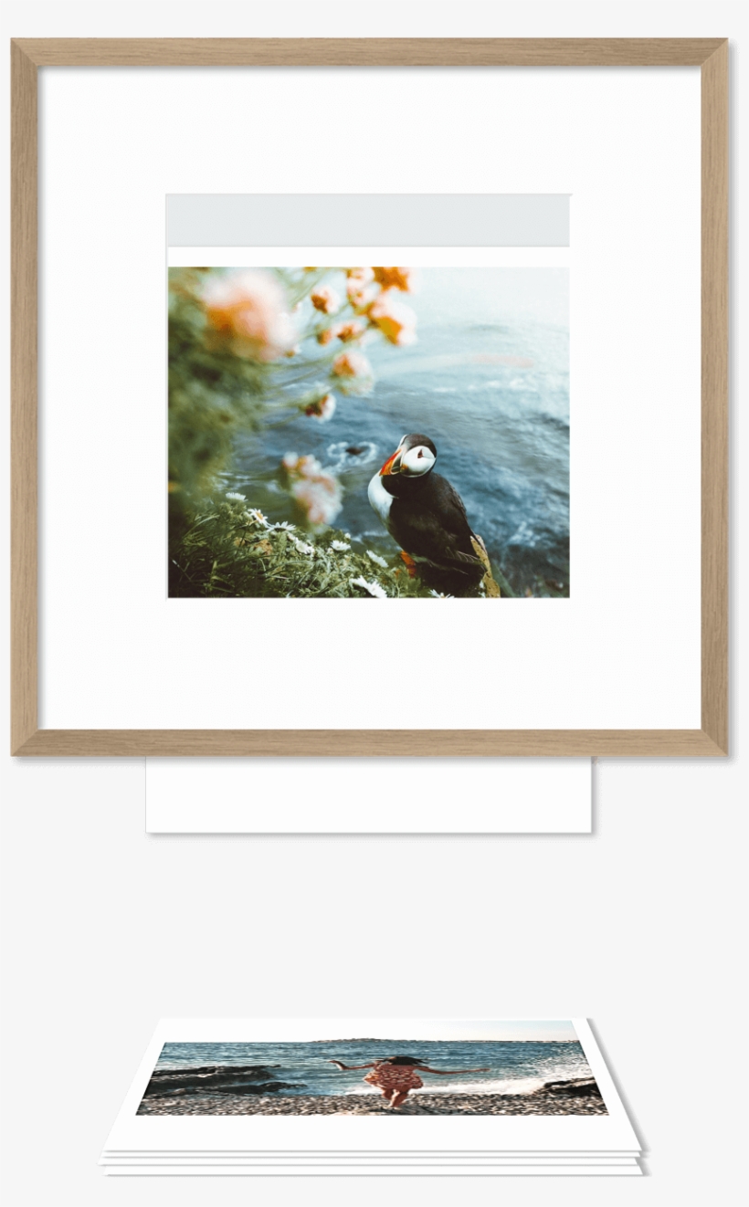 Reframe - Picture Frame - 910x1337 PNG Download - PNGkit