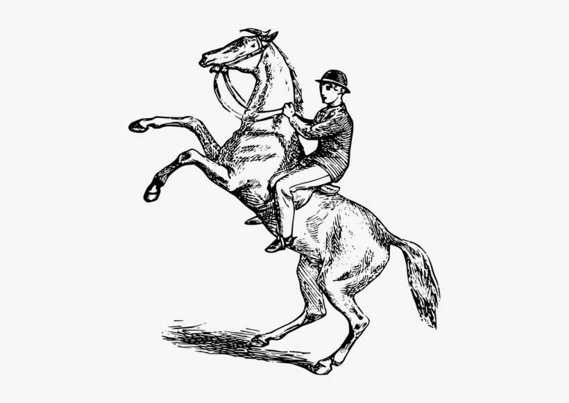 Man Riding A Rearing Horse Vector Image Public Domain - Horse Riding ...