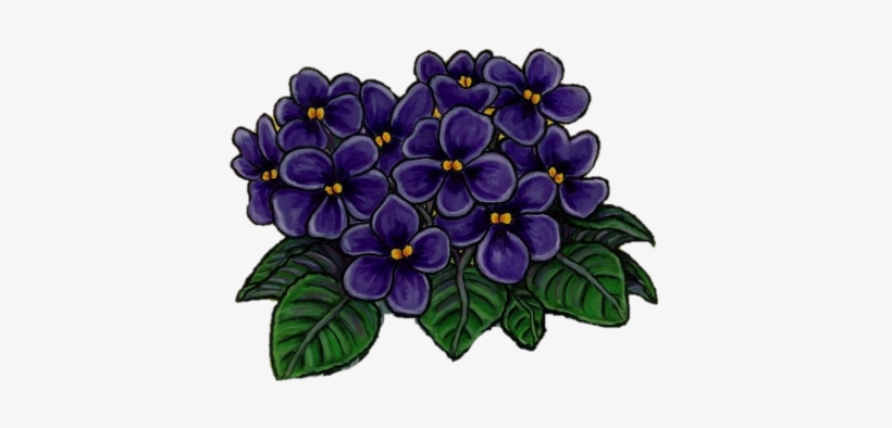African Violet Delta Sigma Theta