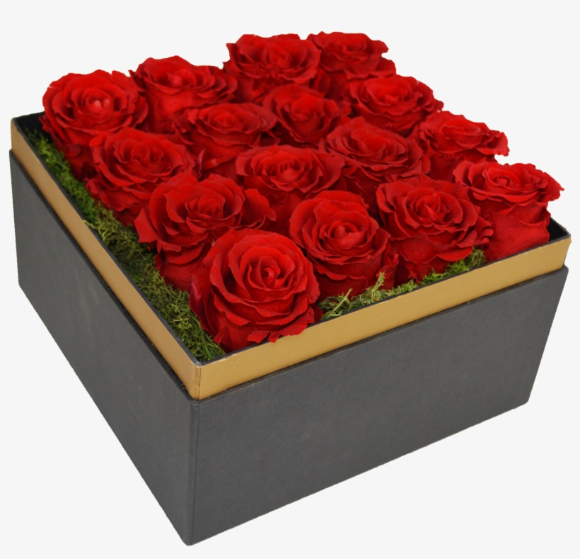 Beautifully Preserved Roses From Luxe Bloom Official - Luxe Bloom ...