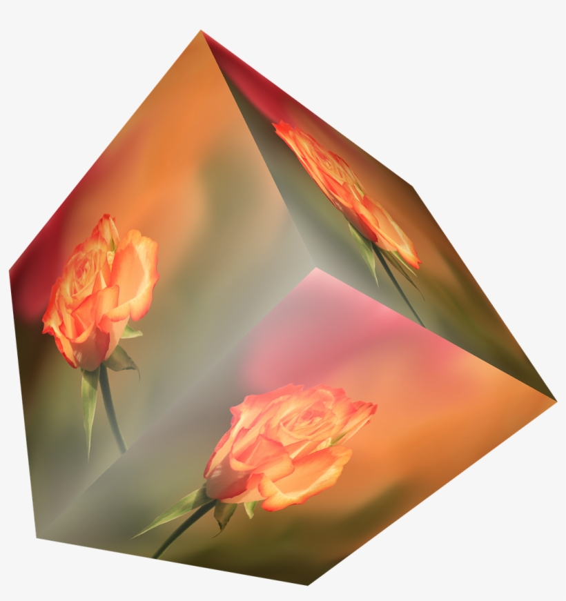 Cube Flower Rose Orange Dwürfel Transparent Background - Цветок ...