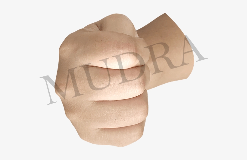 In Simple Words It Is A Closed Fist Position Of The - Suede - 786x998 ...