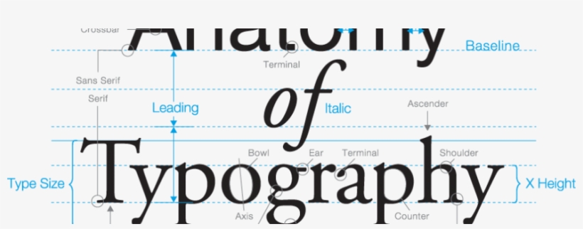 Typography Anatomy - 870x300 PNG Download - PNGkit