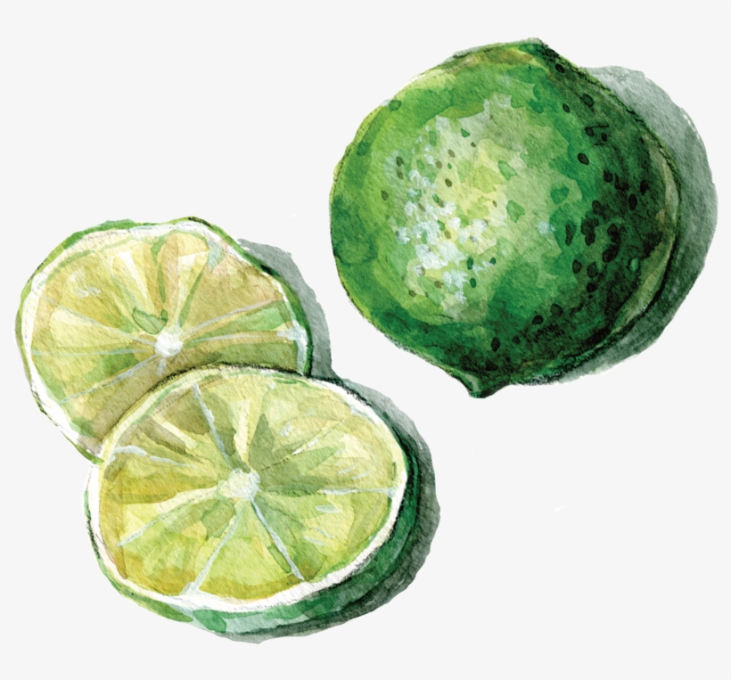 Lime Vector - Portable Network Graphics - 1000x912 PNG Download - PNGkit