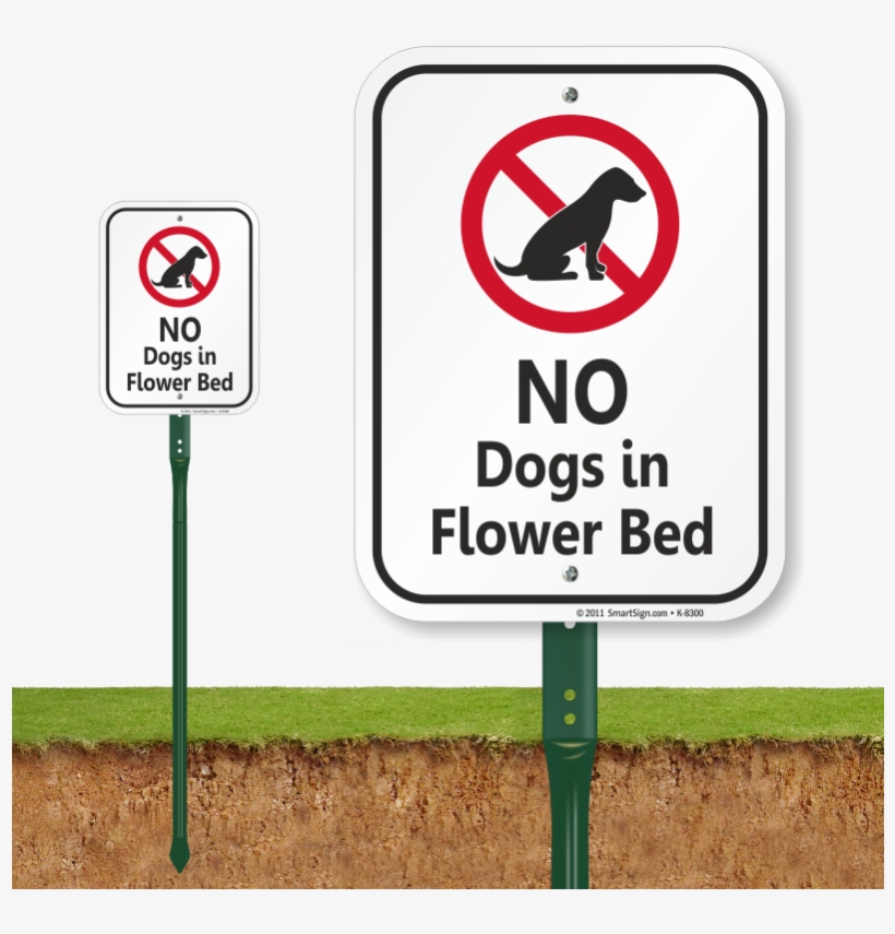 Zoom, Price, Buy - Dont Pick Flowers Signage - 800x800 PNG Download ...