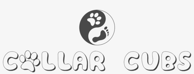 Both Logos - 1000x344 PNG Download - PNGkit