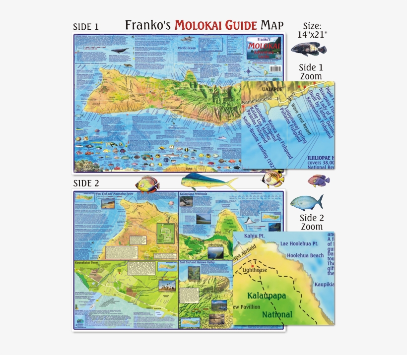 Franko Maps Molokai Guide Map - 537x636 PNG Download - PNGkit
