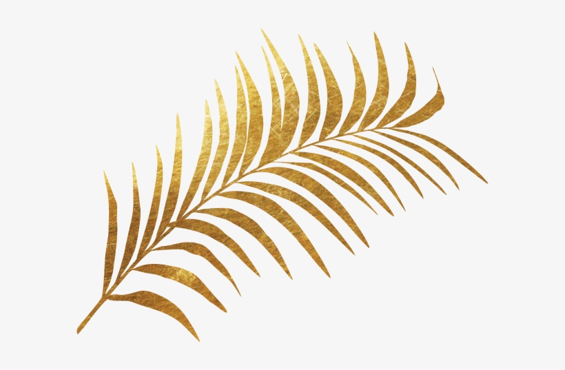 Golden Plant - Fern Leaf Gold - 598x457 PNG Download - PNGkit