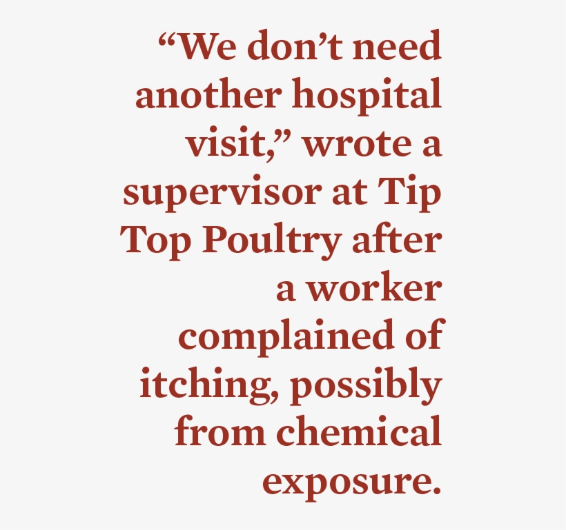 Kill-line Quote2 - Orange - 600x821 PNG Download - PNGkit