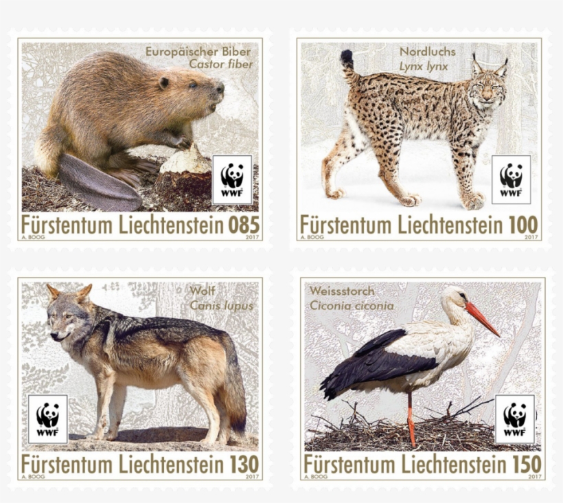 Wwf Returnees - Postage Stamp - 940x794 PNG Download - PNGkit