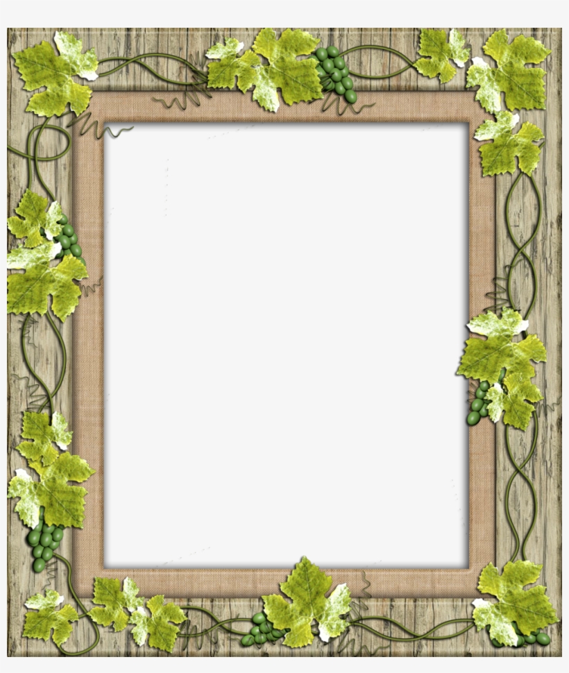 Go To Image - Nature Picture Frames Transparent Bg - 980x1112 PNG ...