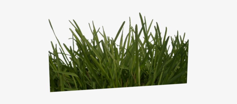 These Are Used To Adjust The Image And To Create The - Masked 2d Grass ...