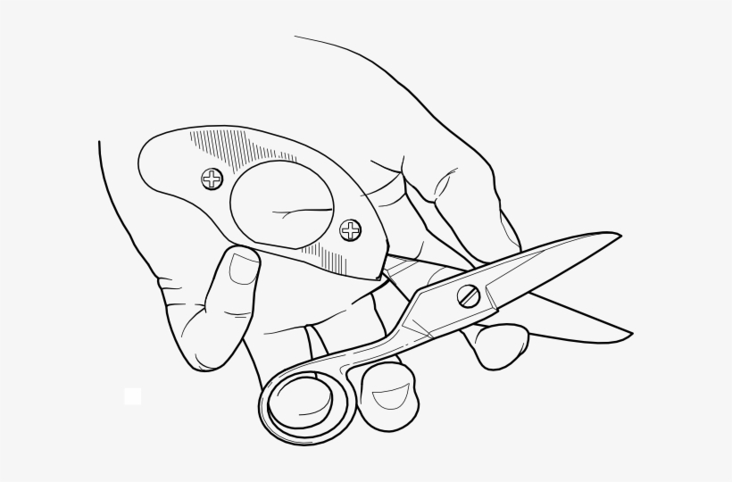 Cut Outline - 600x460 PNG Download - PNGkit