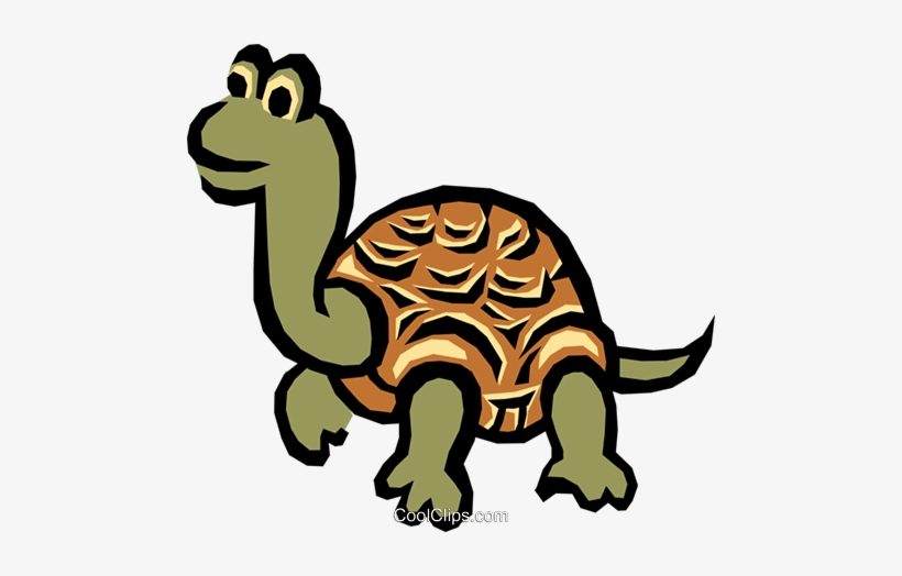 Tortoise - Clip Art - 480x444 PNG Download - PNGkit